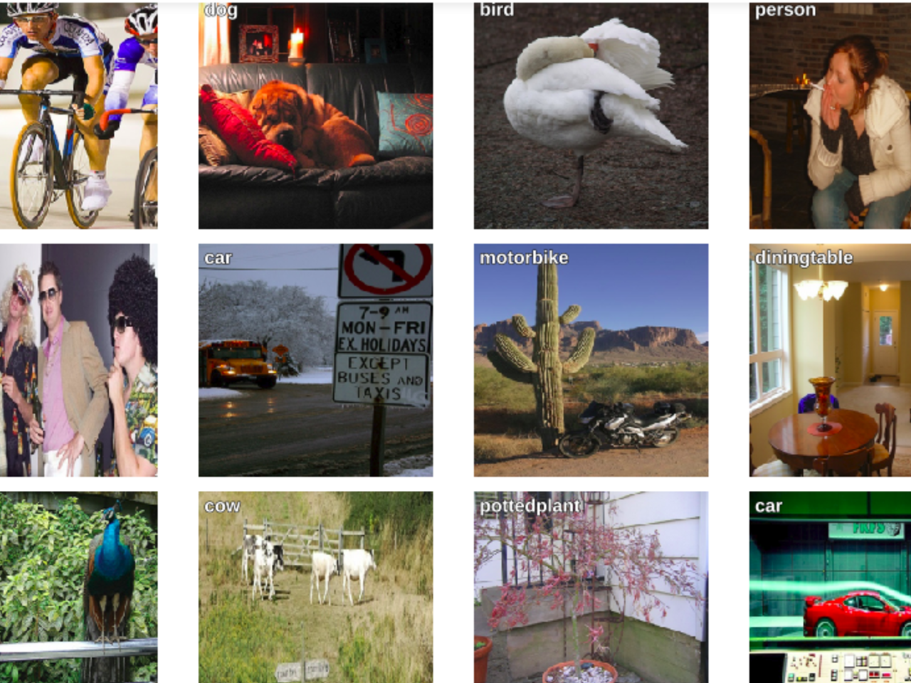 Test Object Detection Dataset And Pre Trained Model By New Workspace