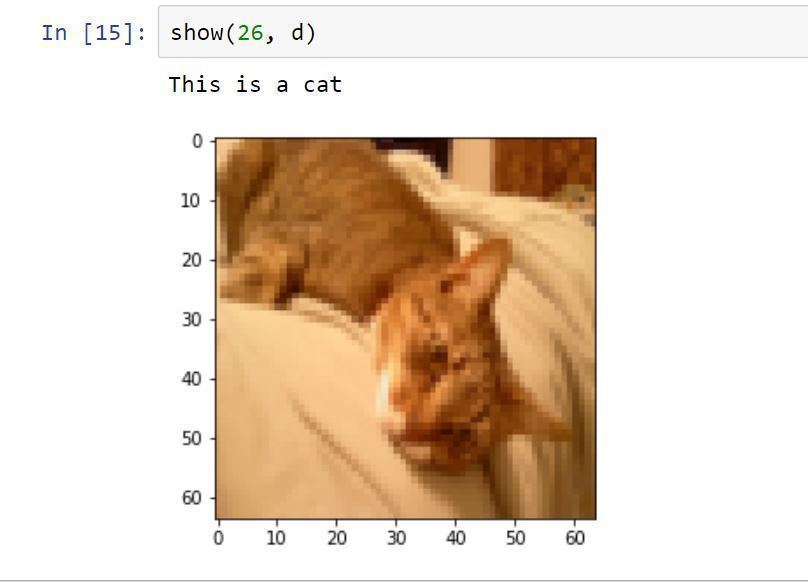 Cat Classifier | Intel TechMesh | Amarjeet Sarma, 09/28/2018