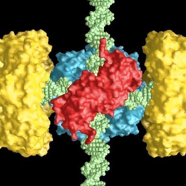 FPGA acceleration for molecular dynamics simulation using CHARMMX ... FPGA acceleration for molecular dynamics simulation using CHARMMX ...