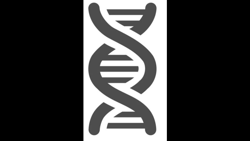 Travelling Salesman Problem Using Genetic Algorithm Intel Insiders 振桓 江 02092023 