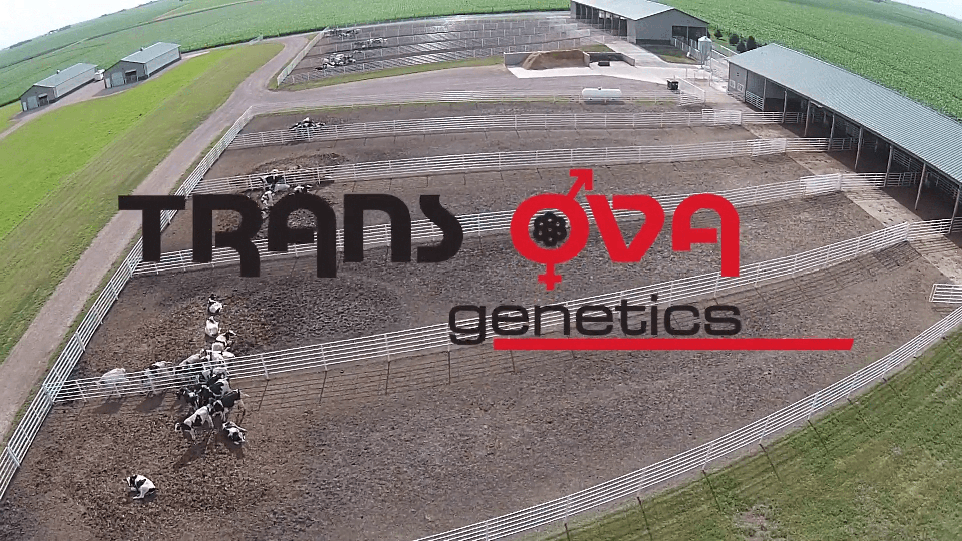 ProGentus - Genetic Solutions